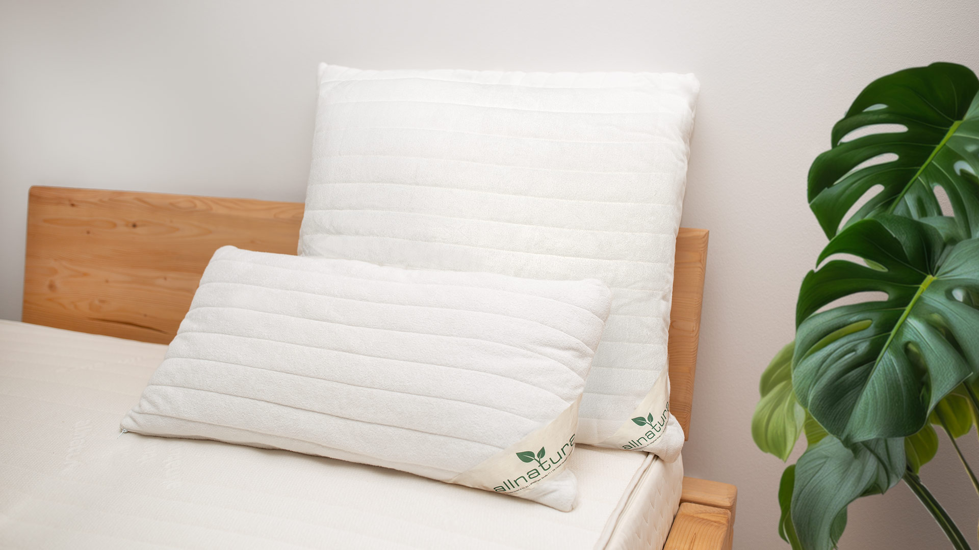 Baumwoll-Kopfkissen "Cotona-Medicott" | allnatura Schweiz